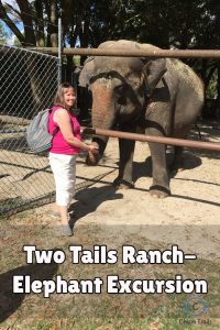 Two Tails Ranch - Elephant Excursion - Chism Trails